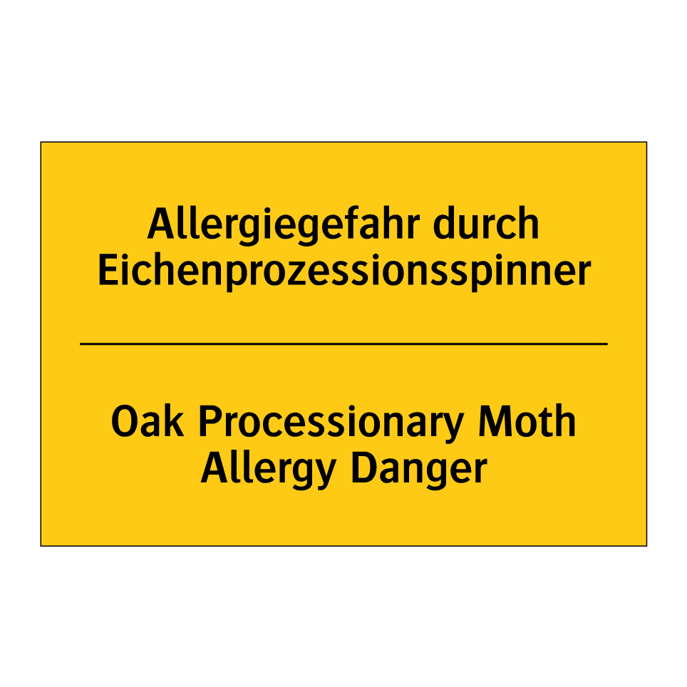 Kauf Allergiegefahr durch Eichenprozessionsspinner/.../ - Oak ...